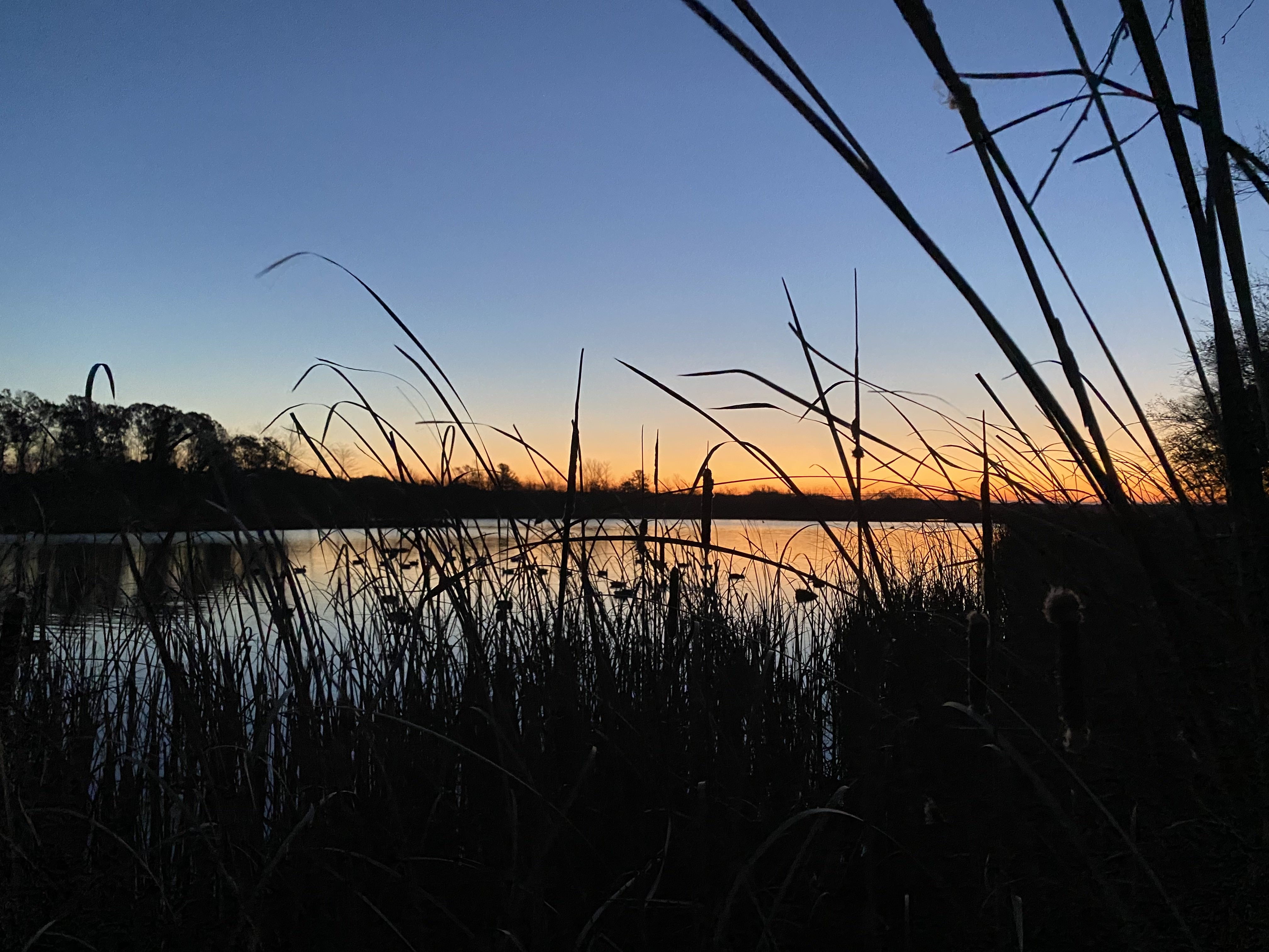 Tips for scouting waterfowl hunting spots – Nathan Woelfel Outdoors