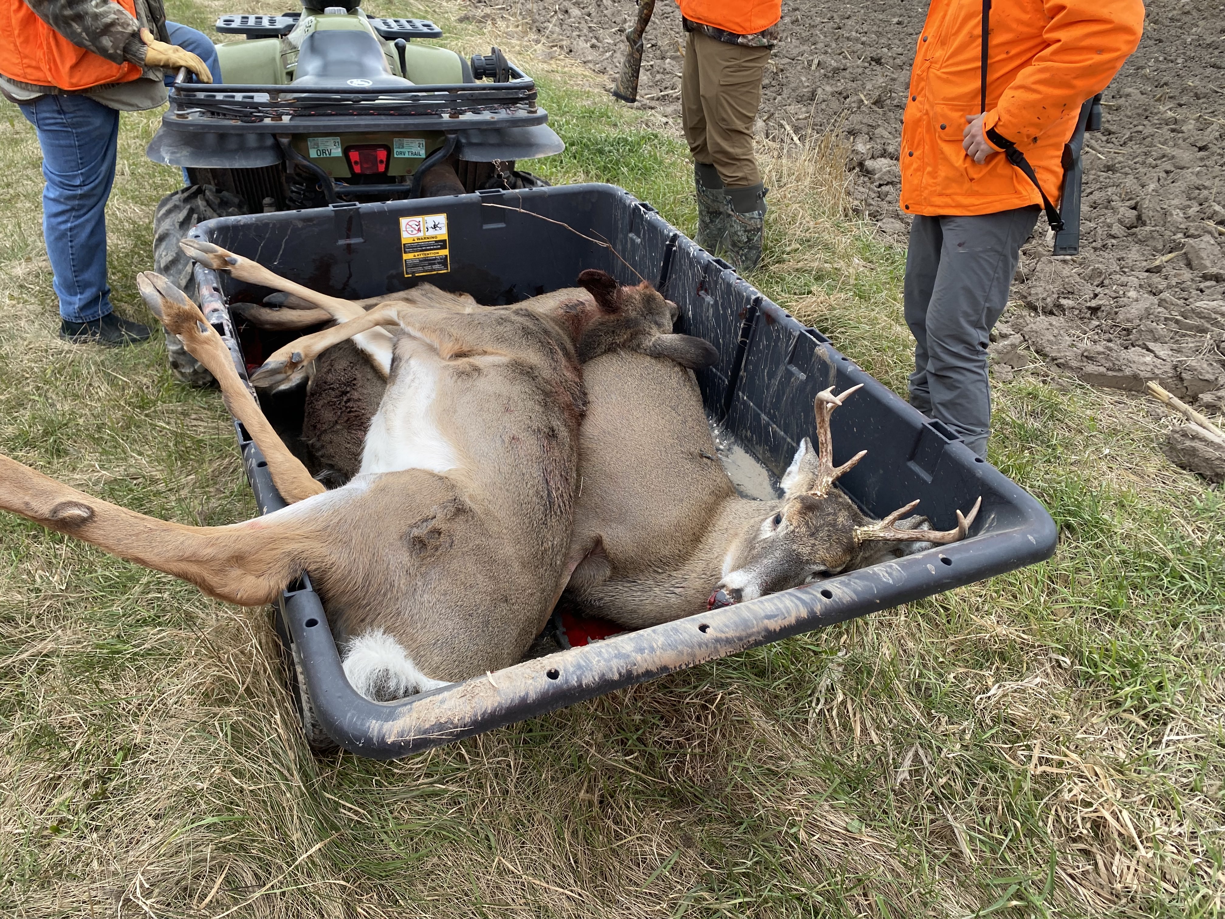Why you should test your deer for CWD – Nathan Woelfel Outdoors